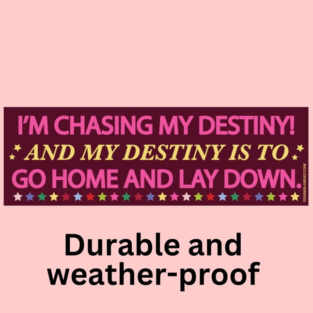 Chasing My Destiny Bumper Sticker – Brooklyn Craft Company